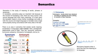 Linguistic Fundamentals in Translation and Translation Studies | PPTX