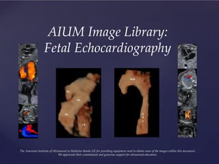 Aium image library tim thai chi tiet 2019 | PDF
