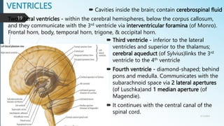 NERVOUS SYSTEM.pptx
