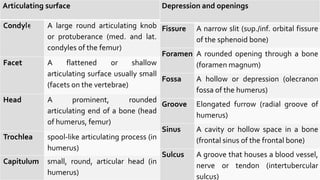 SKELETAL SYSTEM.pptx