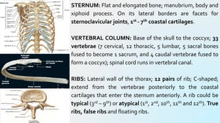 SKELETAL SYSTEM.pptx