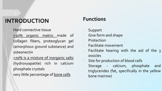 SKELETAL SYSTEM.pptx