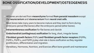 SKELETAL SYSTEM.pptx