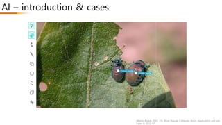 AI based computer vision use cases for researcher | PDF