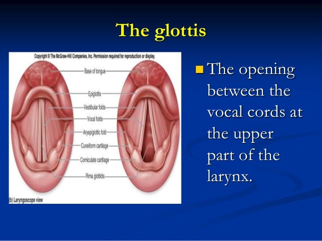 basic airway management