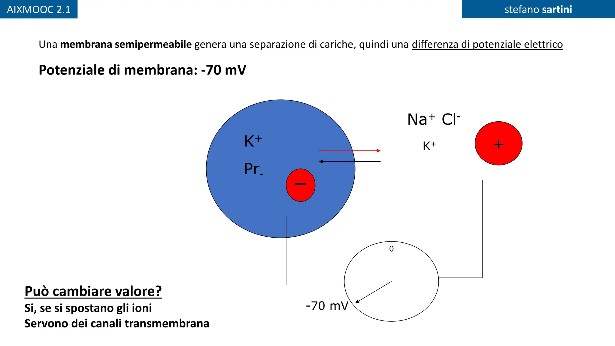 AIXMOOC 2.1 - Il modello del neurone (Stefano Sartini) | PDF
