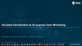 AI-eXpress workshop for Customers and Stakeholders | PDF