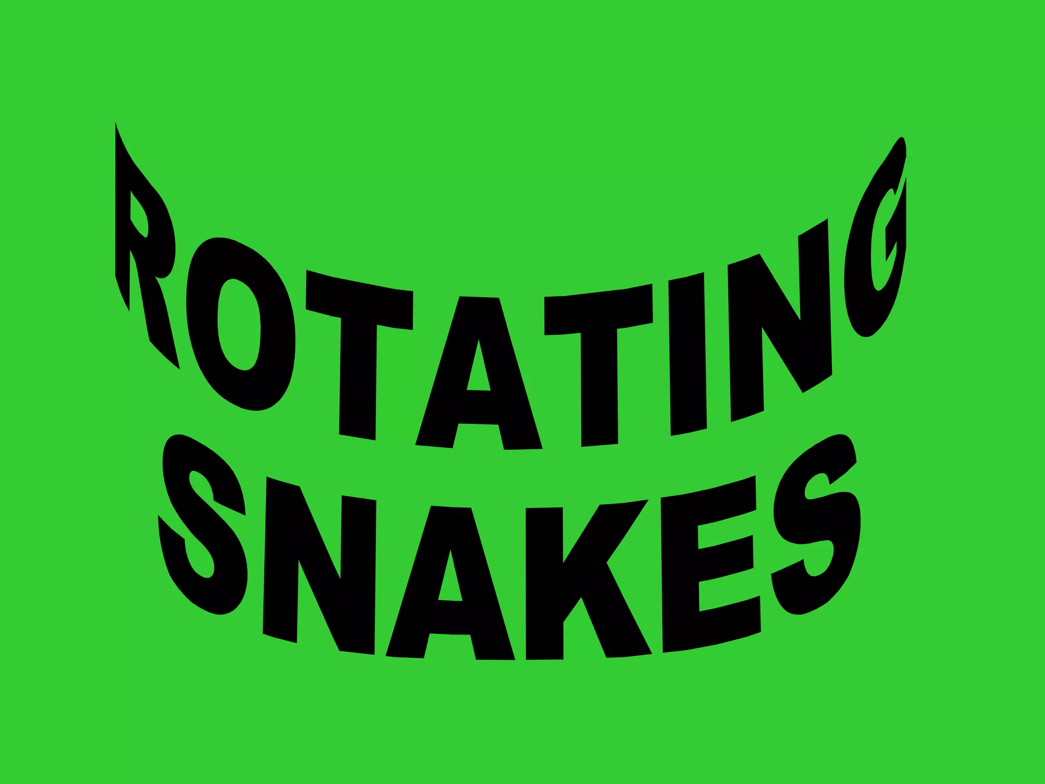 Aiykioshi Kitaoka Rotating Snakes | PPS