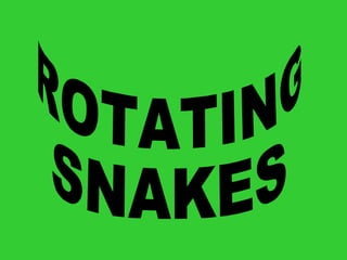 Aiykioshi Kitaoka Rotating Snakes | PPT