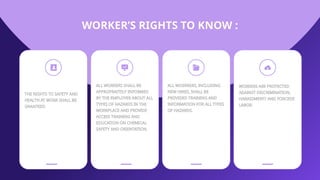 Principles of Occupational Health and Safety | PPTX