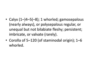AIZOACEAE............................pptx