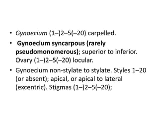 AIZOACEAE............................pptx