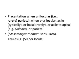 AIZOACEAE............................pptx