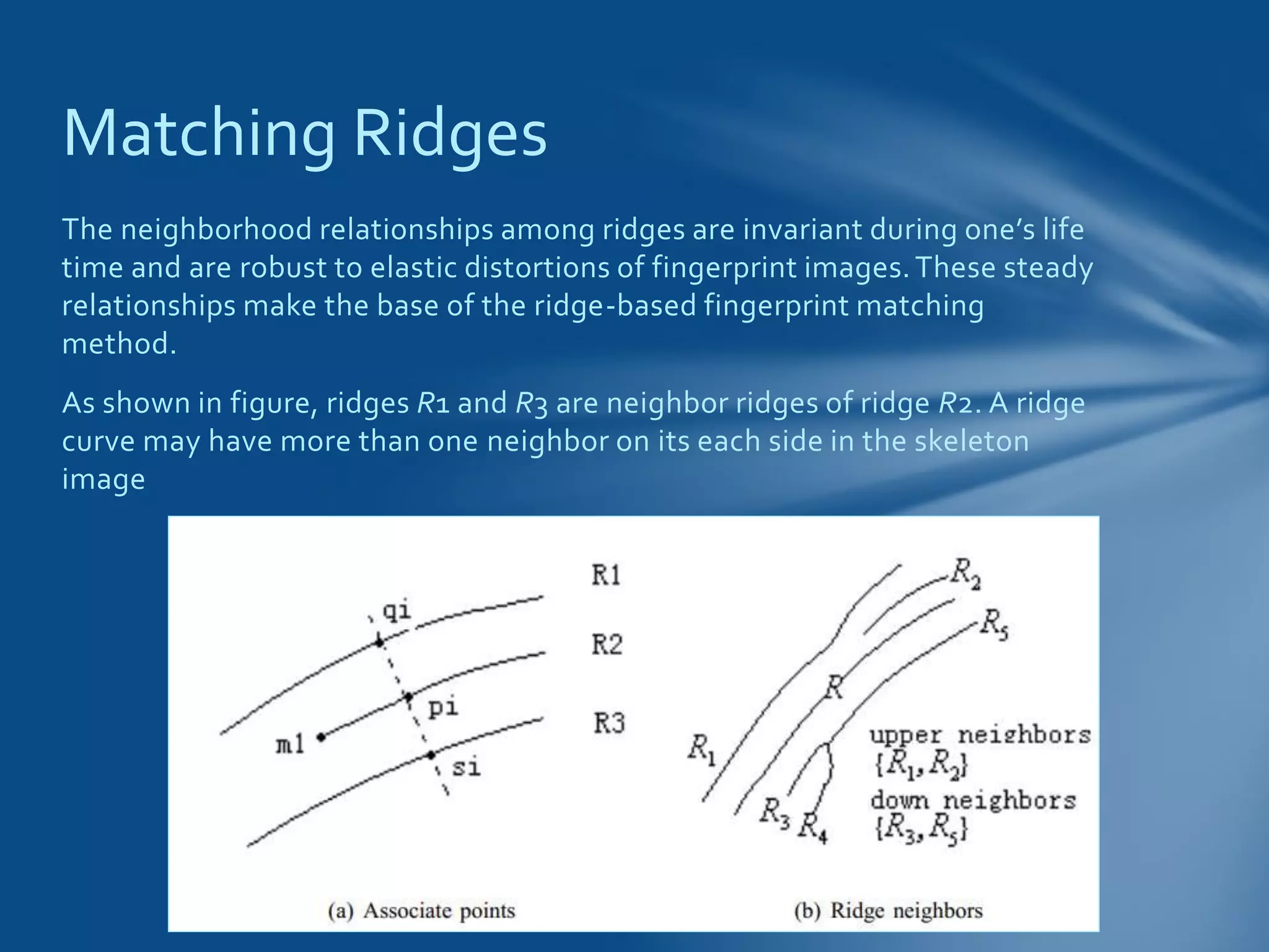 Fingerprint Matching Using Ridge Count Ppt
