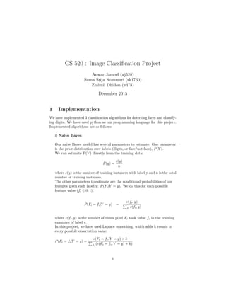 Image Classification | PDF