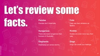 Ajak · SlidesMania.pptx | Cats | Pets