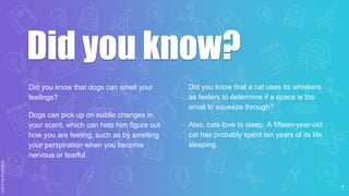 Ajak · SlidesMania.pptx | Cats | Pets