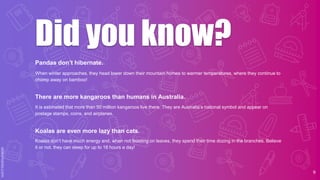 Ajak · SlidesMania.pptx | Cats | Pets