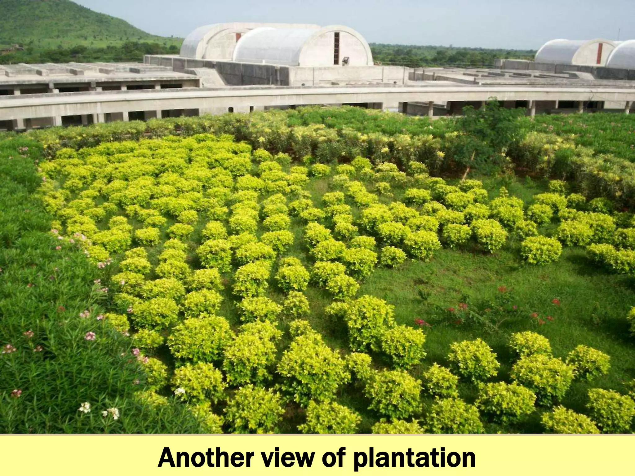 Ajanta_Photos.ppt | Design | Fine Art