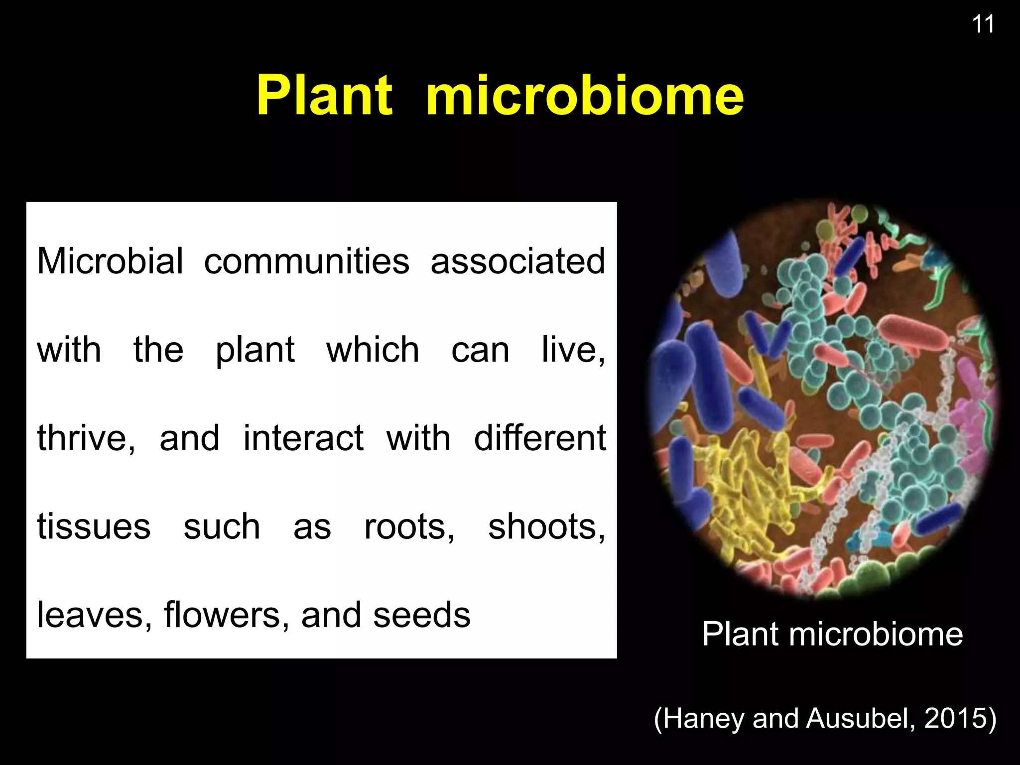 Ajayasree T. S. Seminar ppt (Microbiome engineering) | PPTX