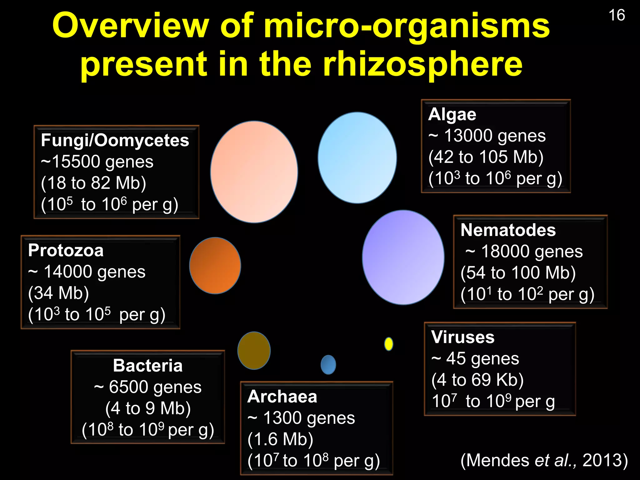 Ajayasree T. S. Seminar ppt (Microbiome engineering) | PPTX