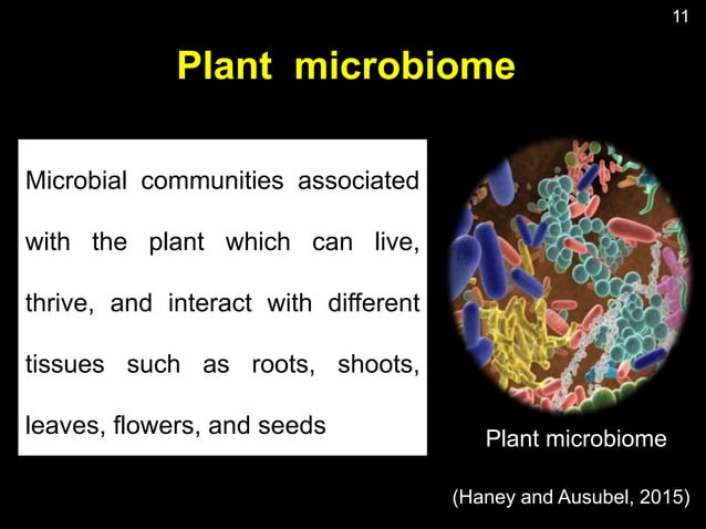 Ajayasree T. S. Seminar ppt (Microbiome engineering) | PPTX