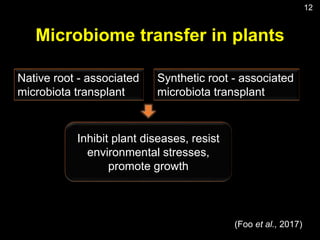 Ajayasree T. S. Seminar ppt (Microbiome engineering) | PPTX