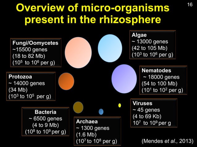 Ajayasree T. S. Seminar ppt (Microbiome engineering) | PPTX