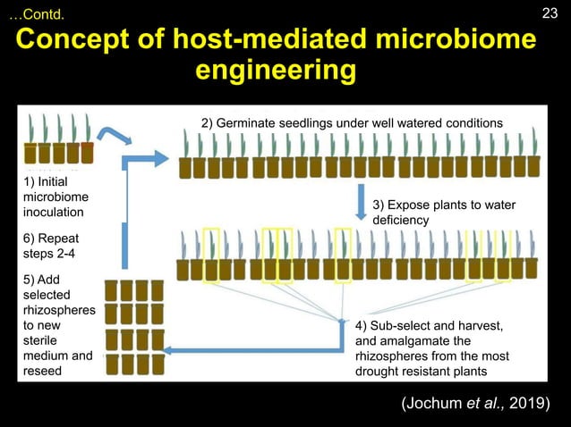 Ajayasree T. S. Seminar ppt (Microbiome engineering) | PPTX