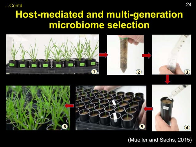 Ajayasree T. S. Seminar ppt (Microbiome engineering) | PPTX