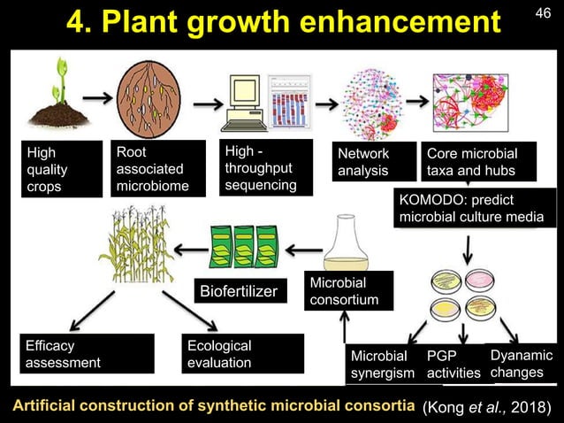 Ajayasree T. S. Seminar ppt (Microbiome engineering) | PPTX