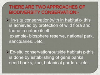 AJAY KUMAR YADAV PPT OF BIODIVERSITY.pptx