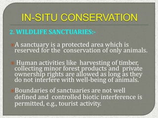 AJAY KUMAR YADAV PPT OF BIODIVERSITY.pptx
