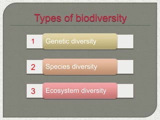 AJAY KUMAR YADAV PPT OF BIODIVERSITY.pptx