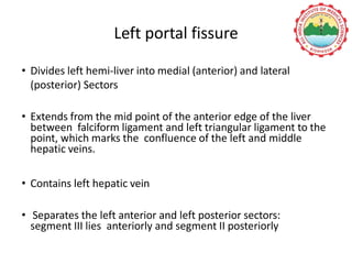 Ajay liver ppt | PPTX