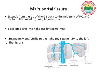 Ajay liver ppt | PPT
