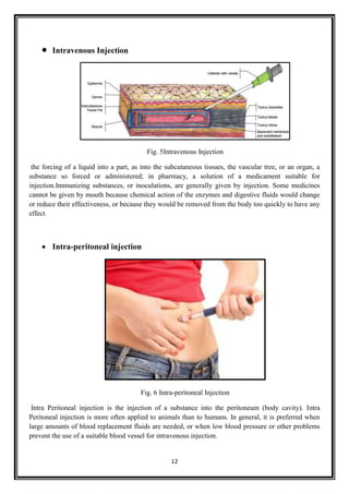 Ajay Singh Tomar.docx | First Aid | Injuries