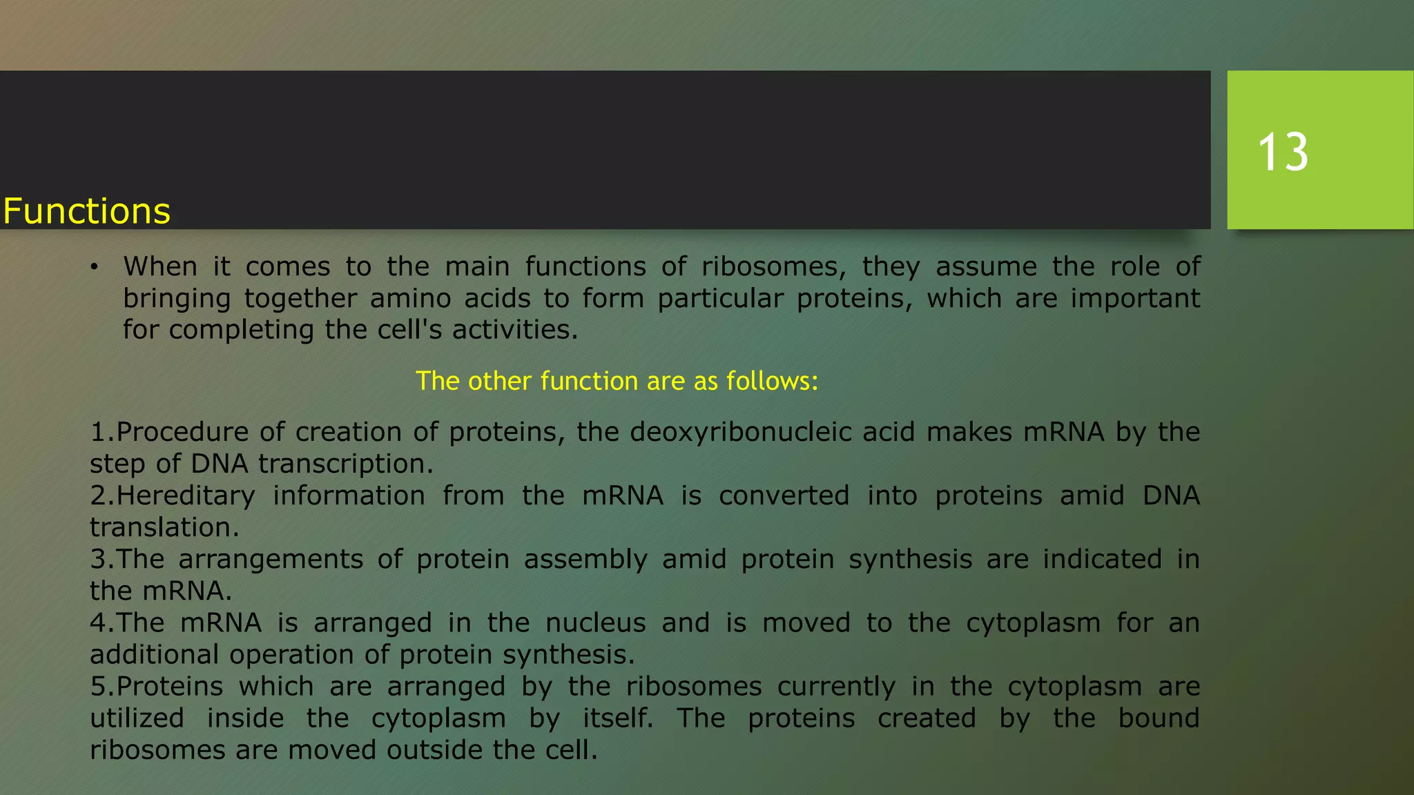 STRUCTURE & FUNCTION OF MAJOR ORGANELLES RIBOSOMES,LYSOSOMES ...