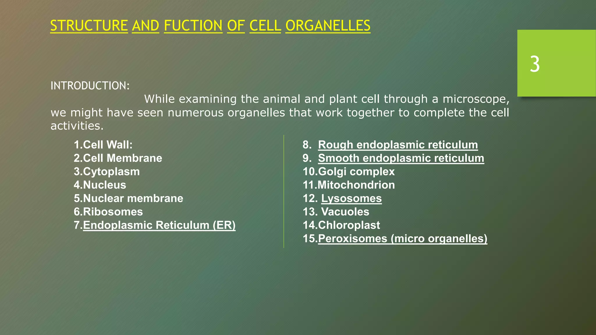 STRUCTURE & FUNCTION OF MAJOR ORGANELLES RIBOSOMES,LYSOSOMES,PEROXISOMES & ENDOPLASMIC RETICULUM ...
