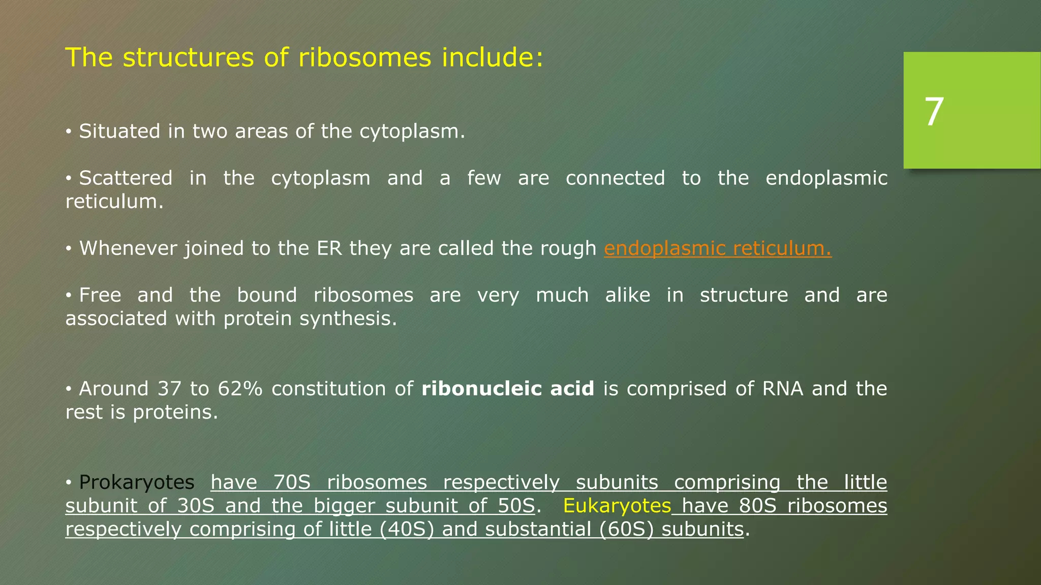 STRUCTURE & FUNCTION OF MAJOR ORGANELLES RIBOSOMES,LYSOSOMES,PEROXISOMES & ENDOPLASMIC RETICULUM ...