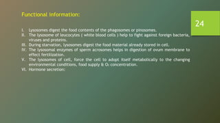 STRUCTURE & FUNCTION OF MAJOR ORGANELLES RIBOSOMES,LYSOSOMES ...