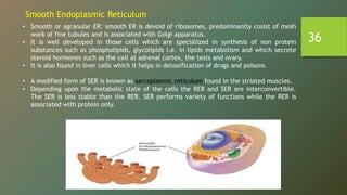 STRUCTURE & FUNCTION OF MAJOR ORGANELLES RIBOSOMES,LYSOSOMES ...