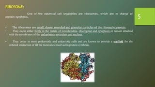 STRUCTURE & FUNCTION OF MAJOR ORGANELLES RIBOSOMES,LYSOSOMES ...