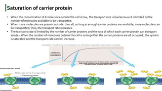Topic : Membrane transport: Transport of water, ion and biomolecules | PPTX