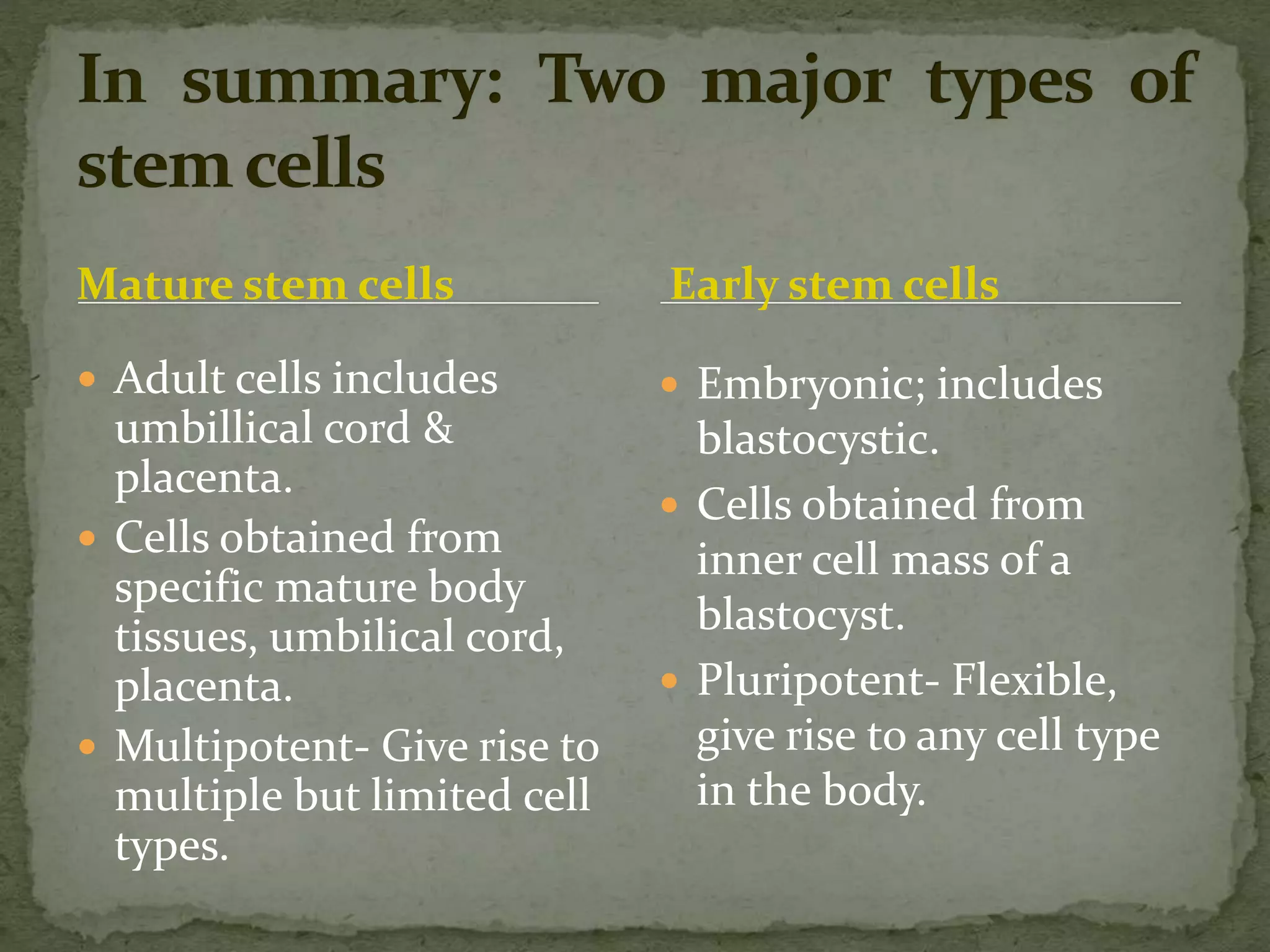 AJAY YADAV ppt of stem cell.pptx | Biological Sciences | Science