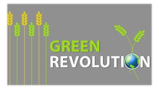 Problems of green revolution and how to overcome it | PPTX