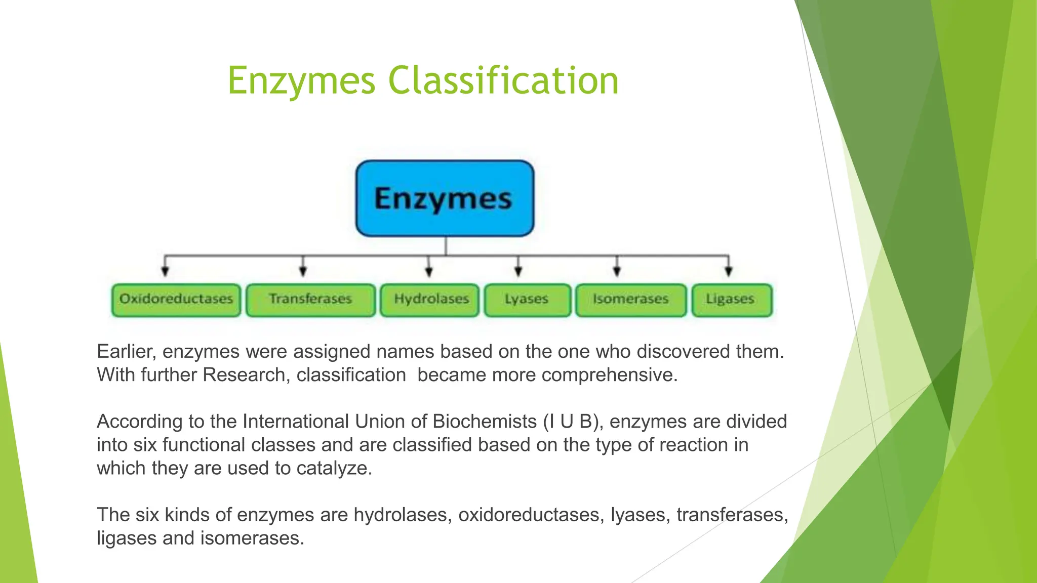 ENZYME , CLASSIFICATION AND THEIR MECHANISM | PPT | Free Download