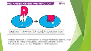 ENZYME , CLASSIFICATION AND THEIR MECHANISM | PPTX