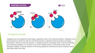 ENZYME , CLASSIFICATION AND THEIR MECHANISM | PPTX