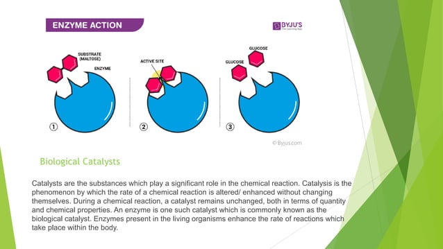 ENZYME , CLASSIFICATION AND THEIR MECHANISM | PPT